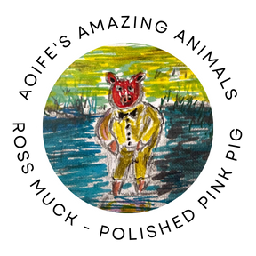 Aoife's Amazing Animals book by Meri Keane