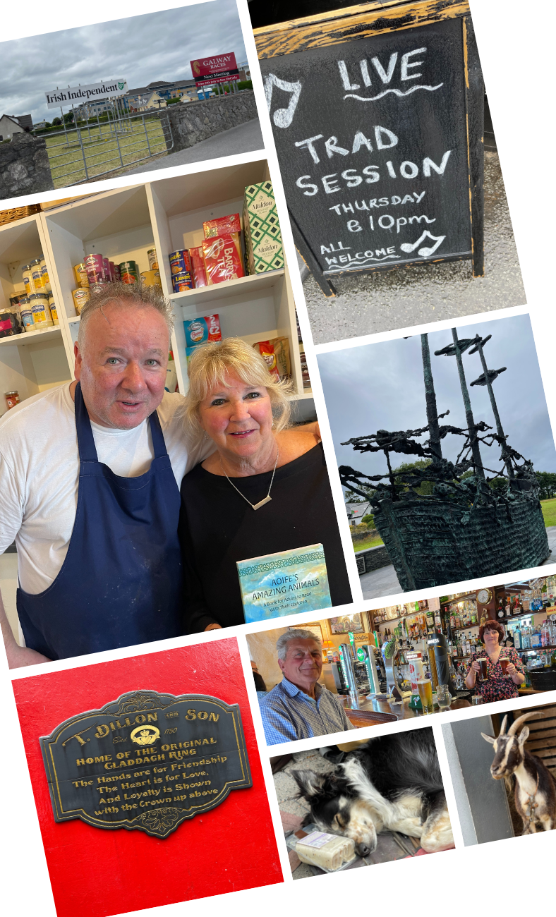 Author Meri Keane | Aoife's Amazing Animals